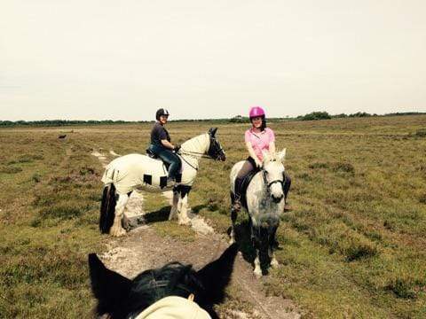 The Bug Body makes the perfect Ride on Fly Rug – Snuggy Hoods Ltd