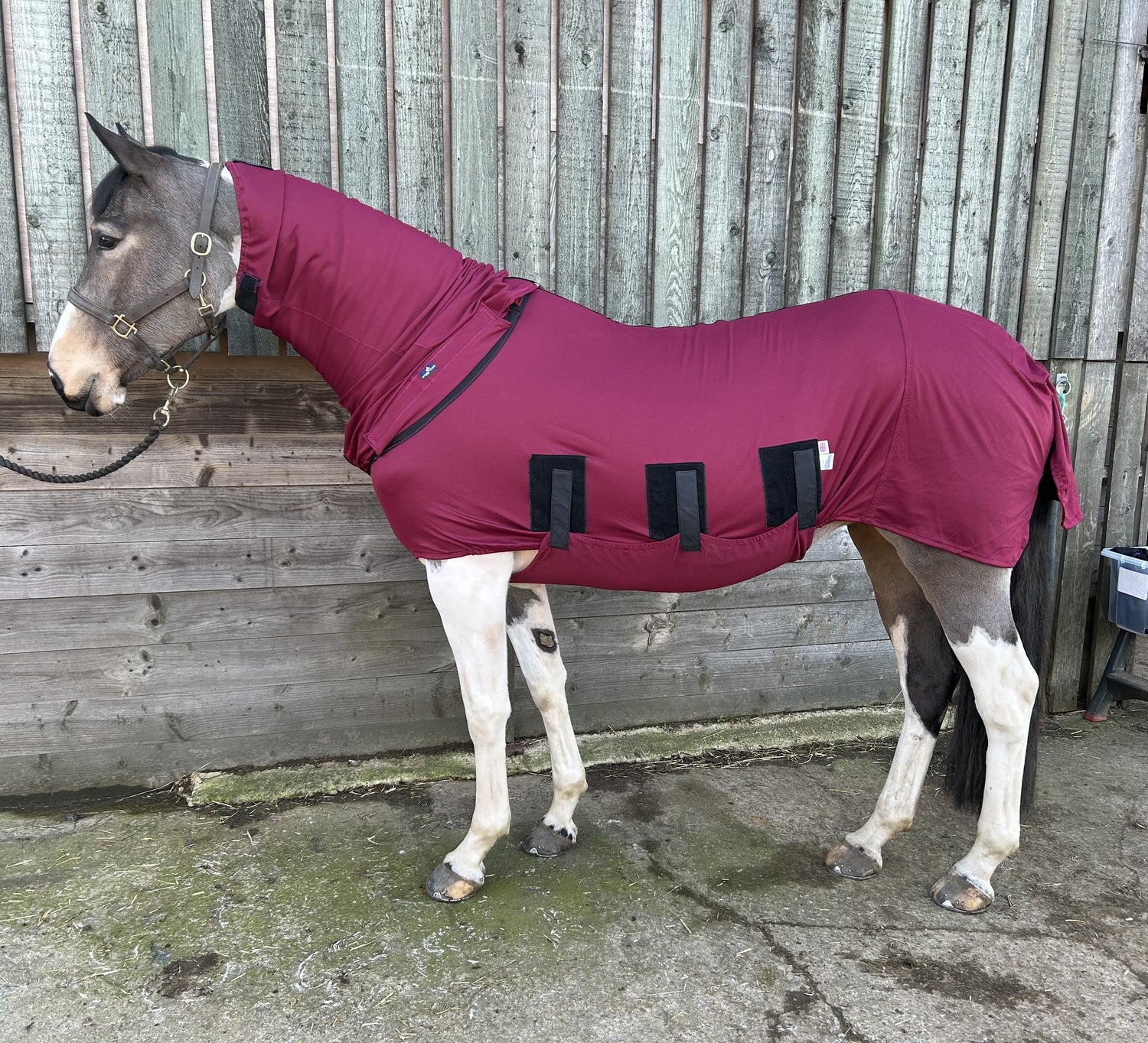 Snuggy Hoods - BASE BODY Under Rug - COMING SOON! – Snuggy Hoods Ltd