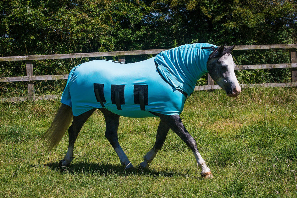 Made to Order Summer Stock – Tagged "equine udder protection"– Snuggy ...