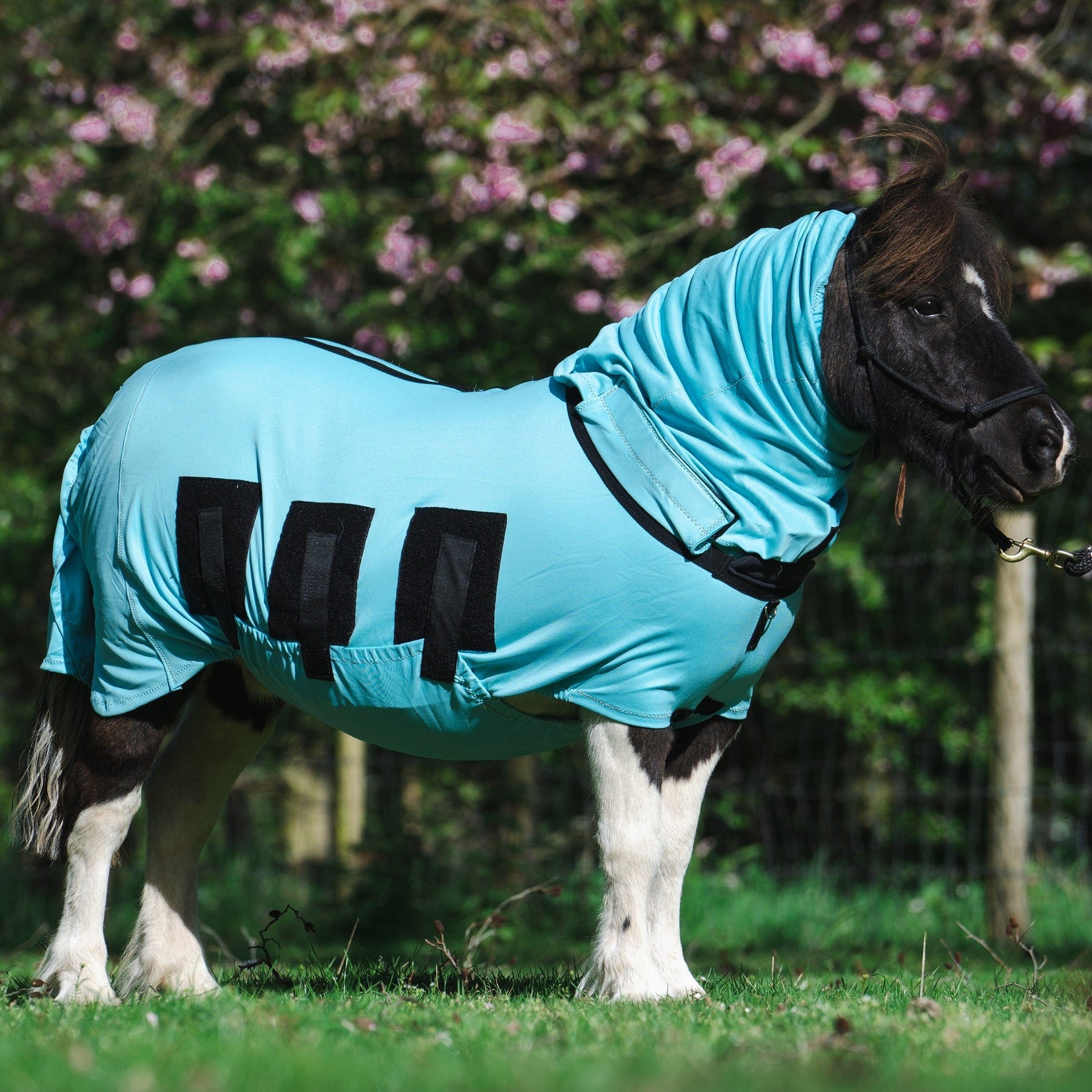 Bug Body Fly Rug - Snuggy Hoods – Snuggy Hoods Ltd