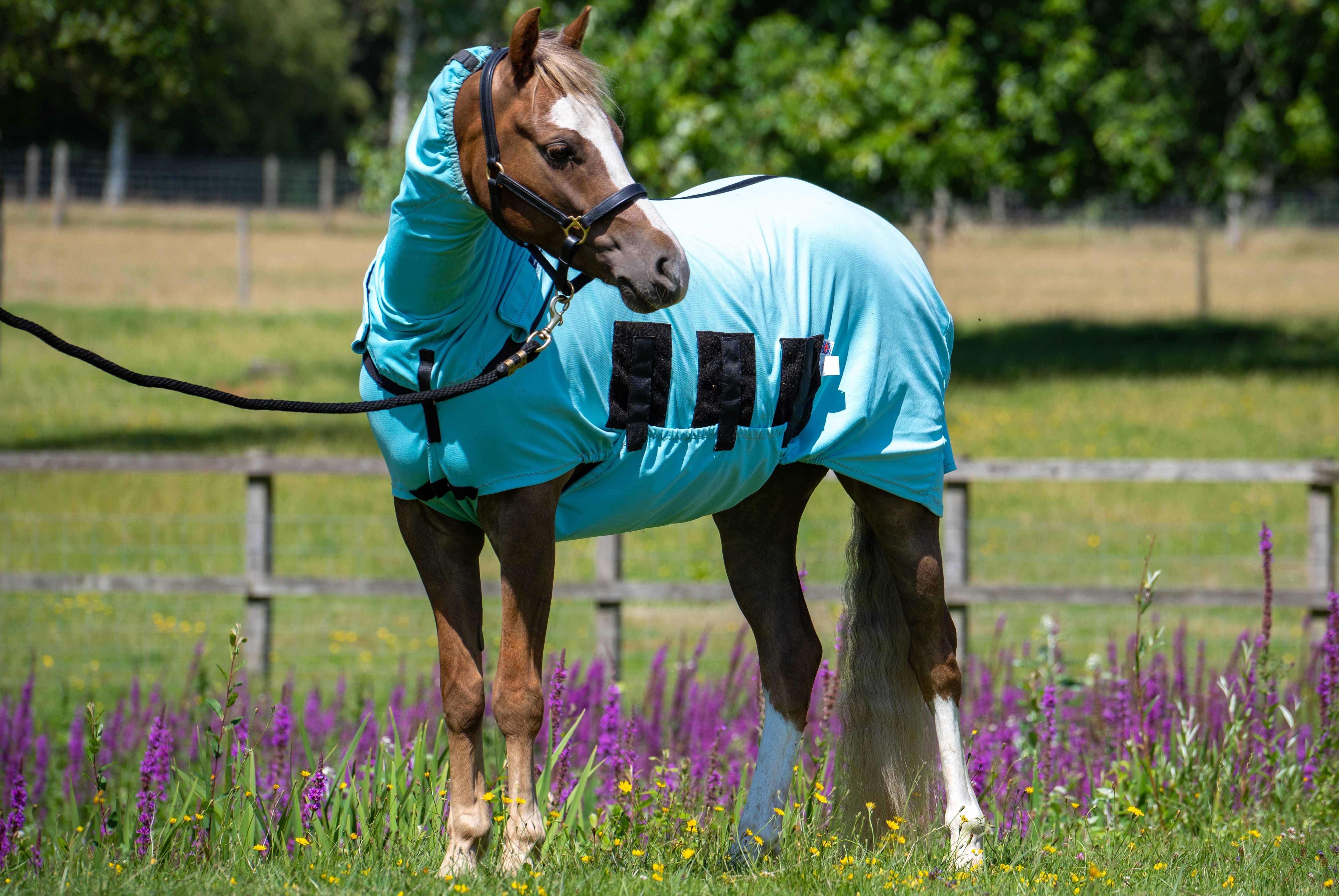 Bug Body Fly Rug - Snuggy Hoods – Snuggy Hoods Ltd