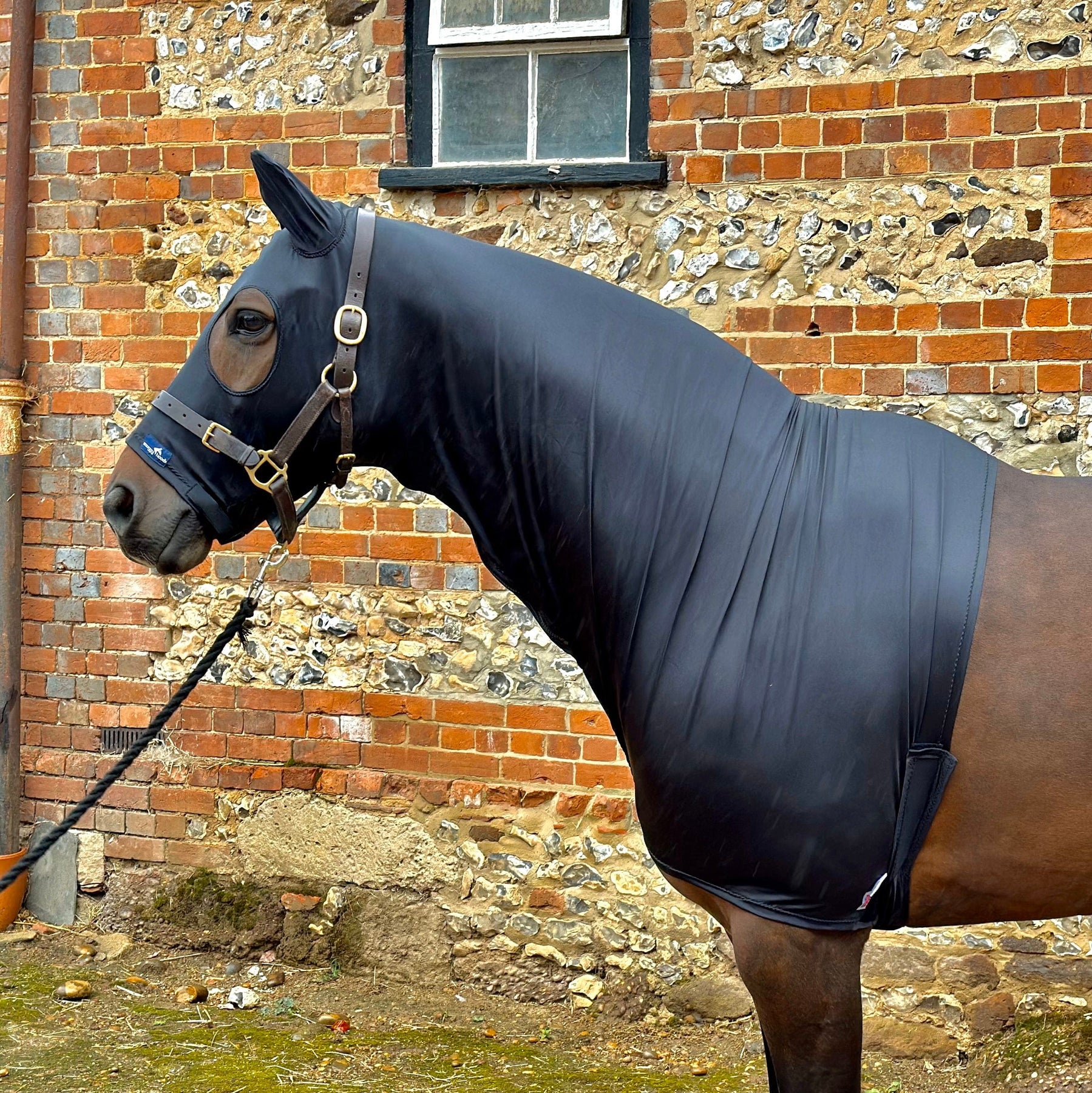 Lycra Horse & Pony Hood - Snuggy Hoods – Snuggy Hoods Ltd