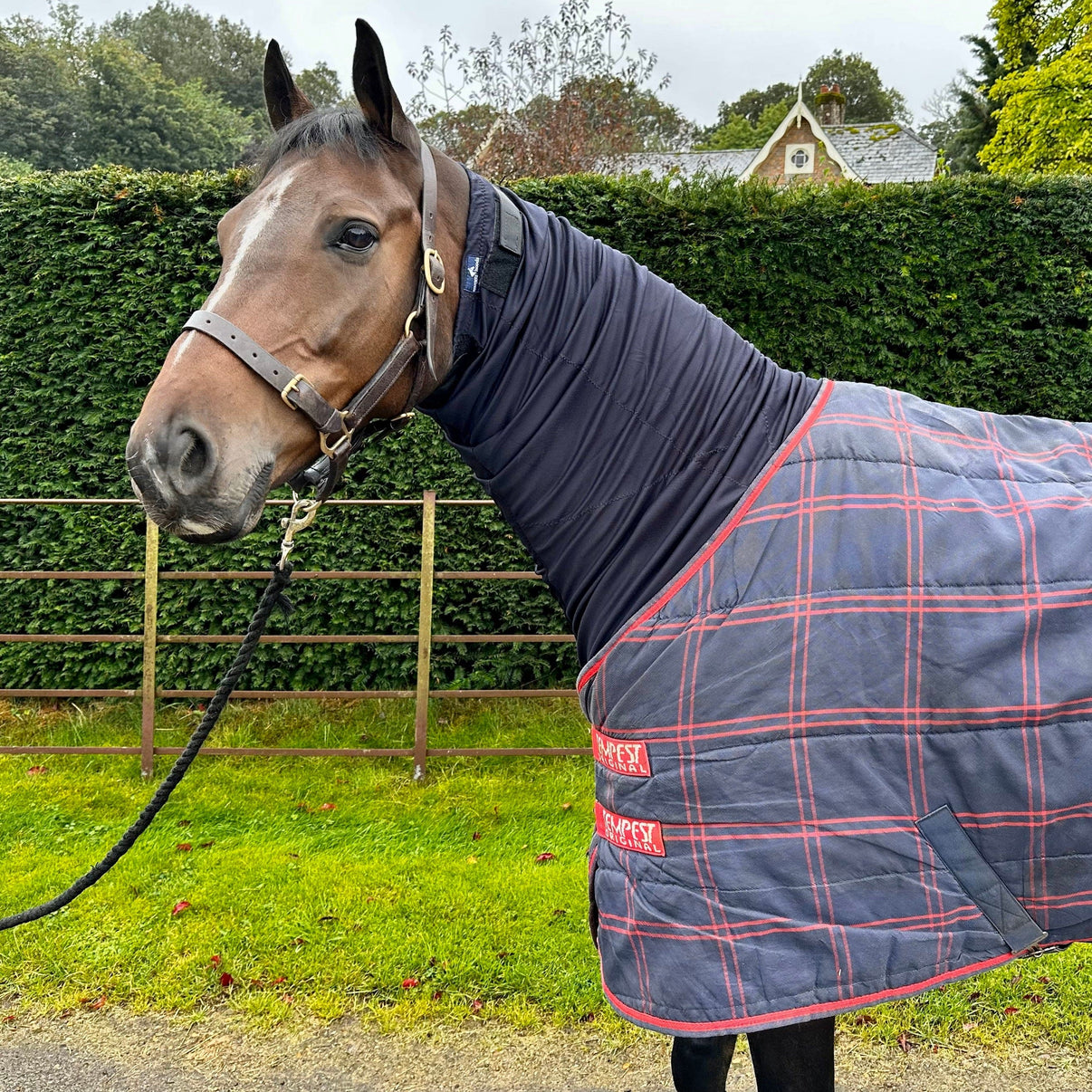 Headless Turn Out Horse Hood - Mane Saver - Snuggy Hoods – Snuggy Hoods Ltd