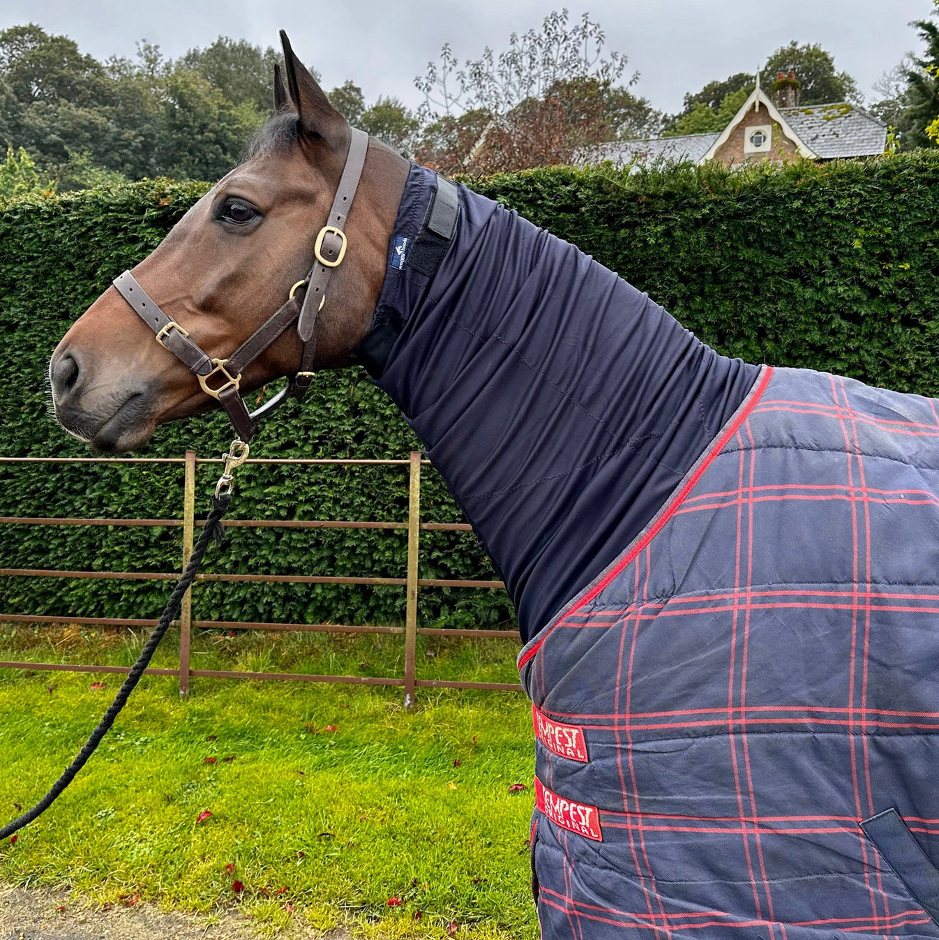 Headless Turn Out Horse Hood - Mane Saver - Snuggy Hoods – Snuggy Hoods Ltd