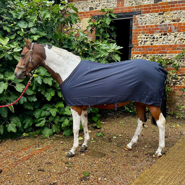 Lightweight Rug Liner / Anti-Rub Horse Rug - Snuggy Hoods – Snuggy ...