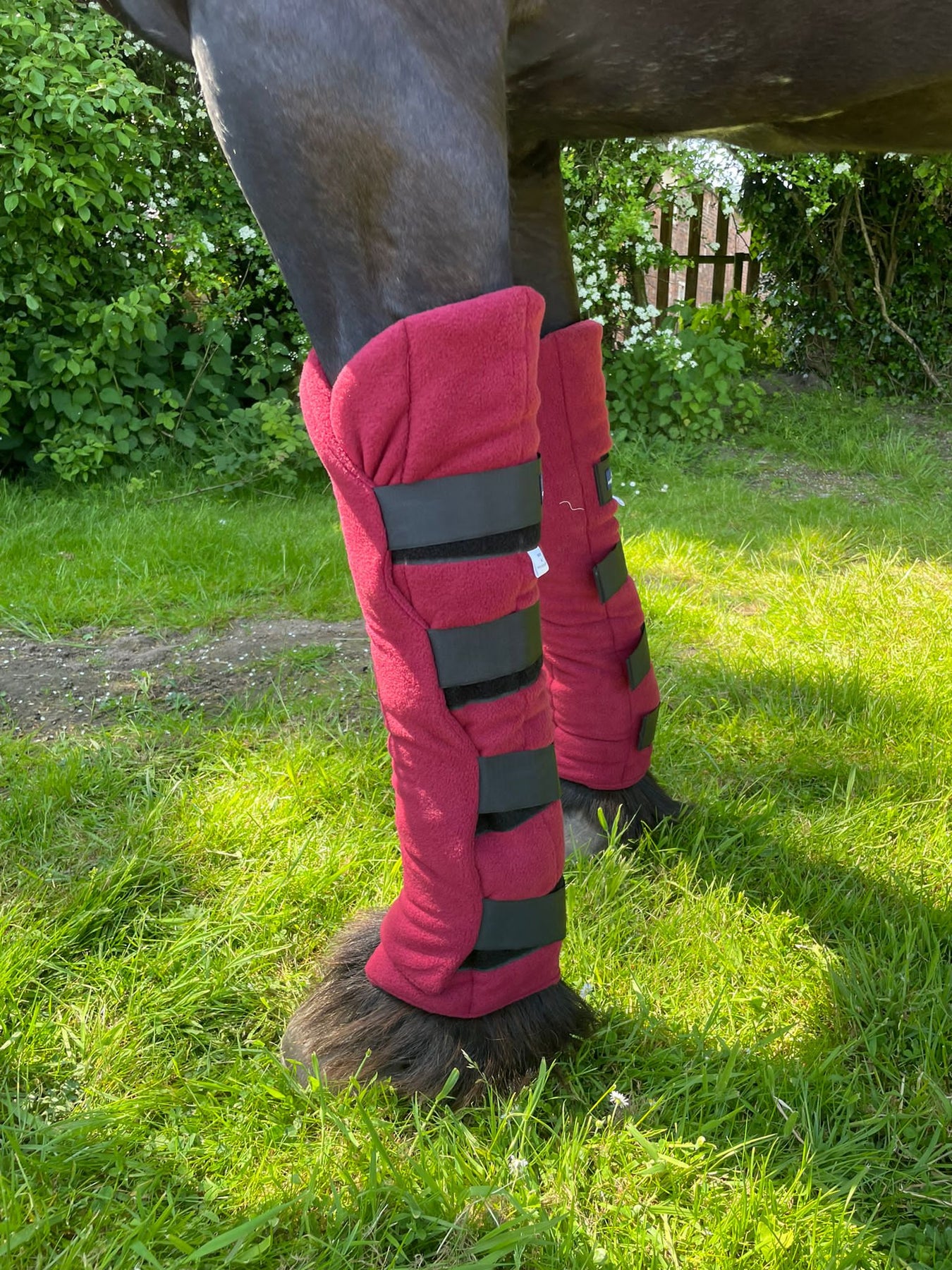 Set of 4 Fleece Boots for Travel or Stable - Comfort & Protection ...