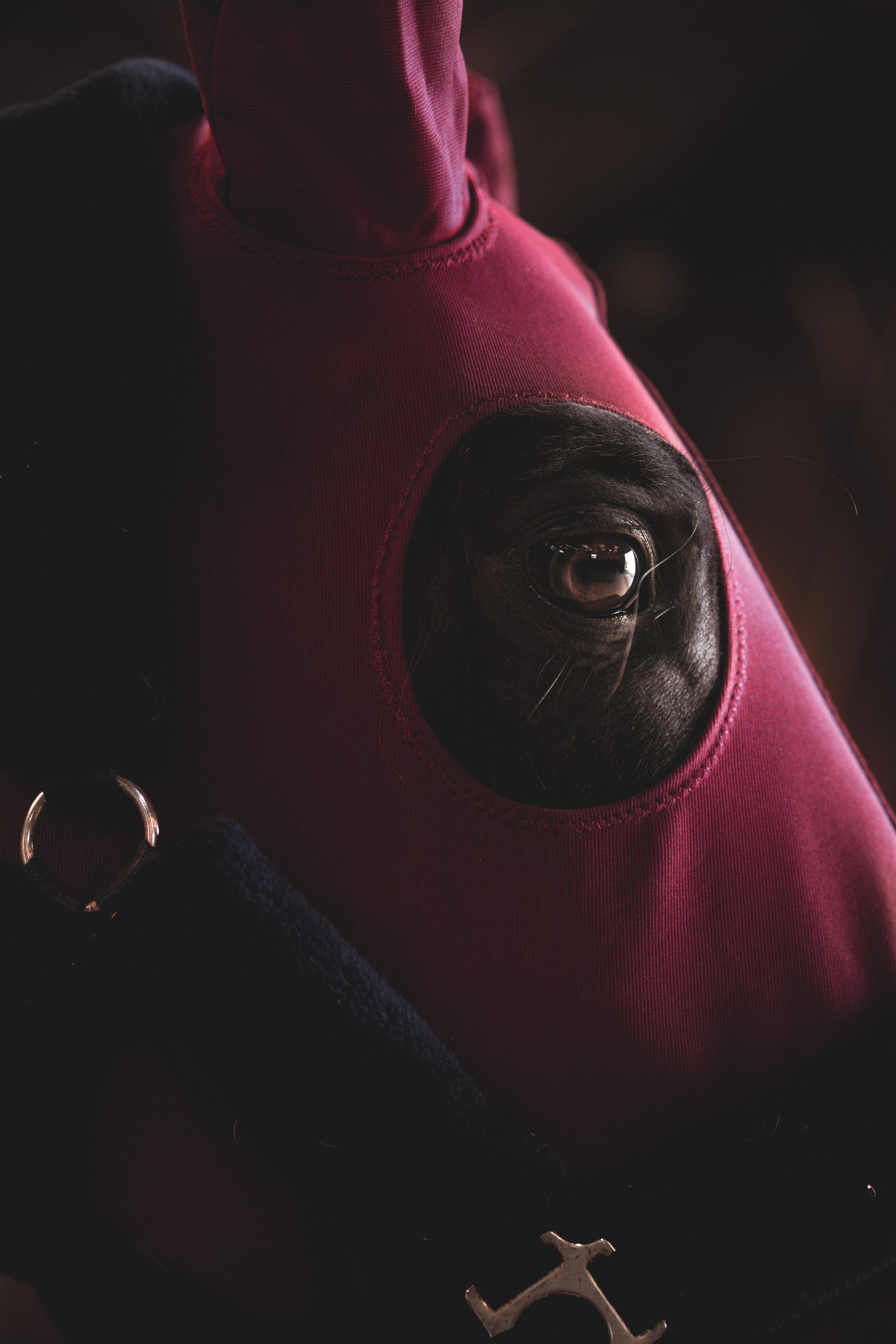 Welcome to Snuggy Hoods - By Royal Appointment to HM The Queen – Snuggy ...