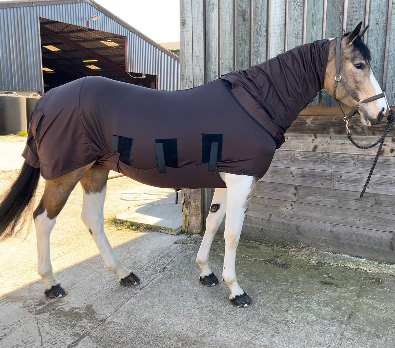 Bug Body Fly Rug - Snuggy Hoods – Snuggy Hoods Ltd