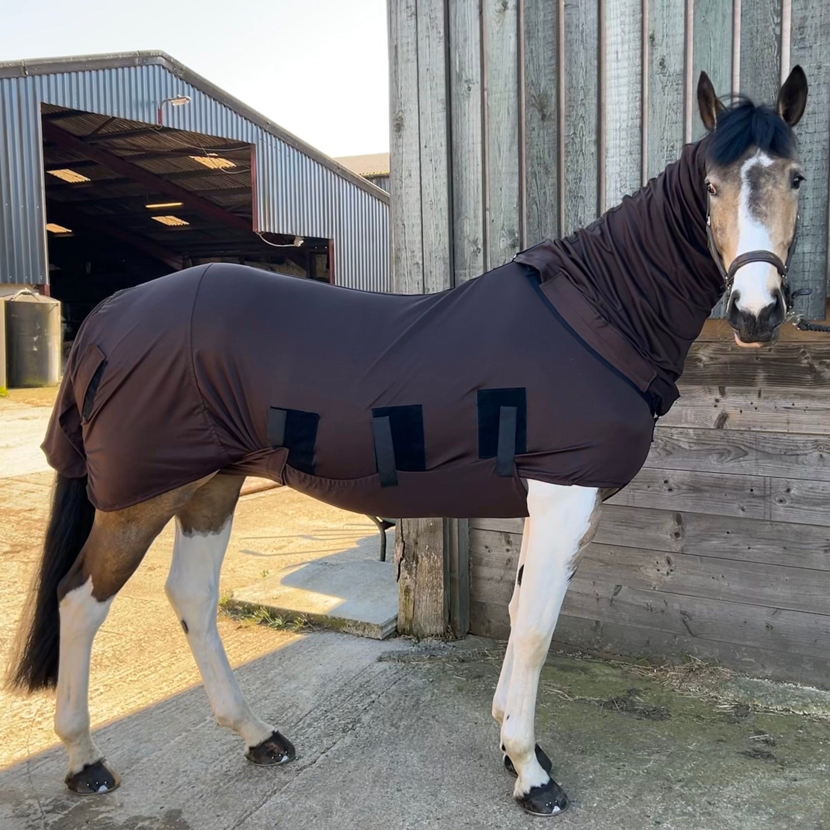Bug Body Fly Rug - Snuggy Hoods – Snuggy Hoods Ltd