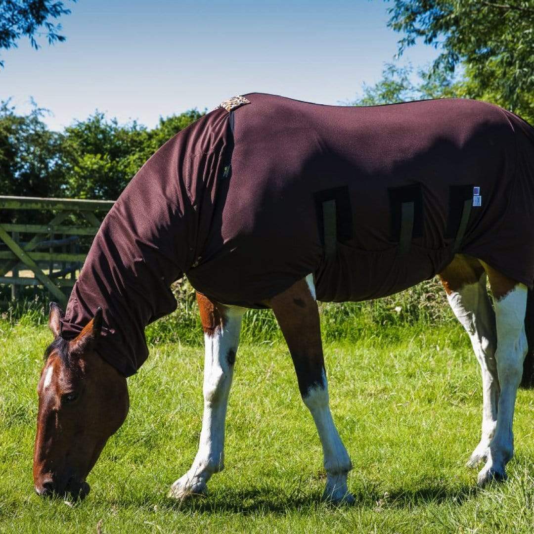 Headless Sweet Itch / Anti Itch Horse Hood - Snuggy Hoods – Snuggy ...