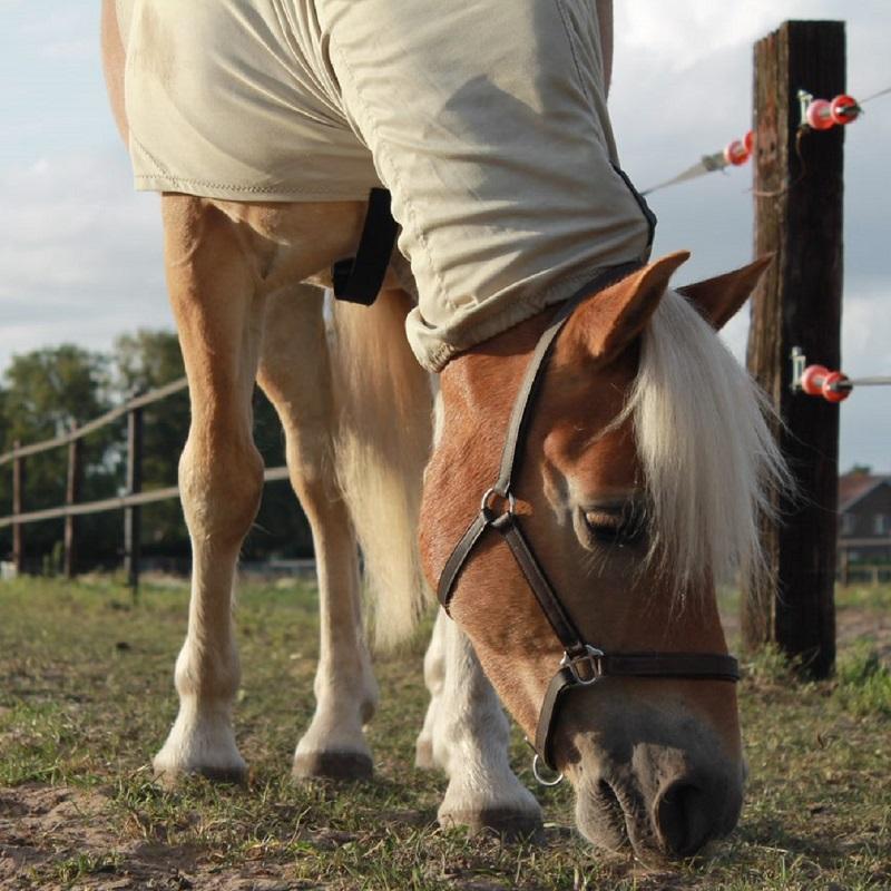 Headless Sweet Itch / Anti Itch Horse Hood - Snuggy Hoods – Snuggy ...