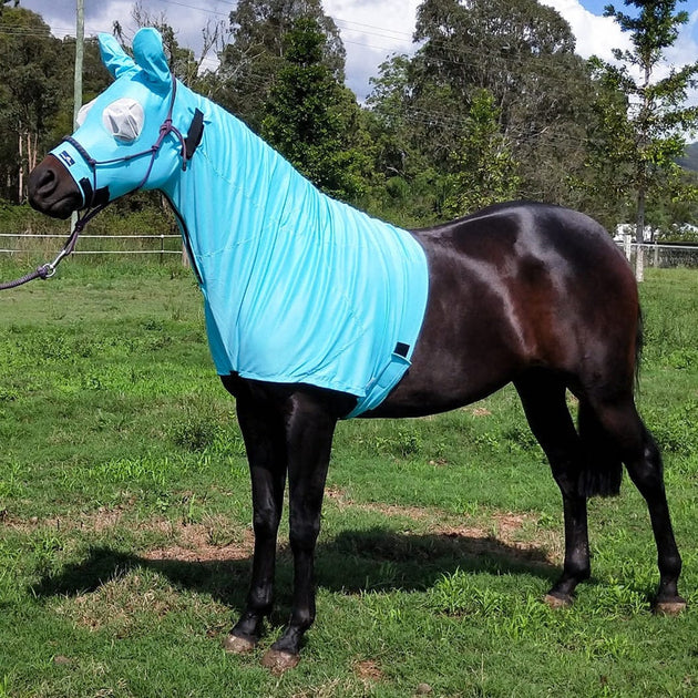 Sweet Itch Horse Hood - Protects from Midges & Insects - Snuggy Hoods ...