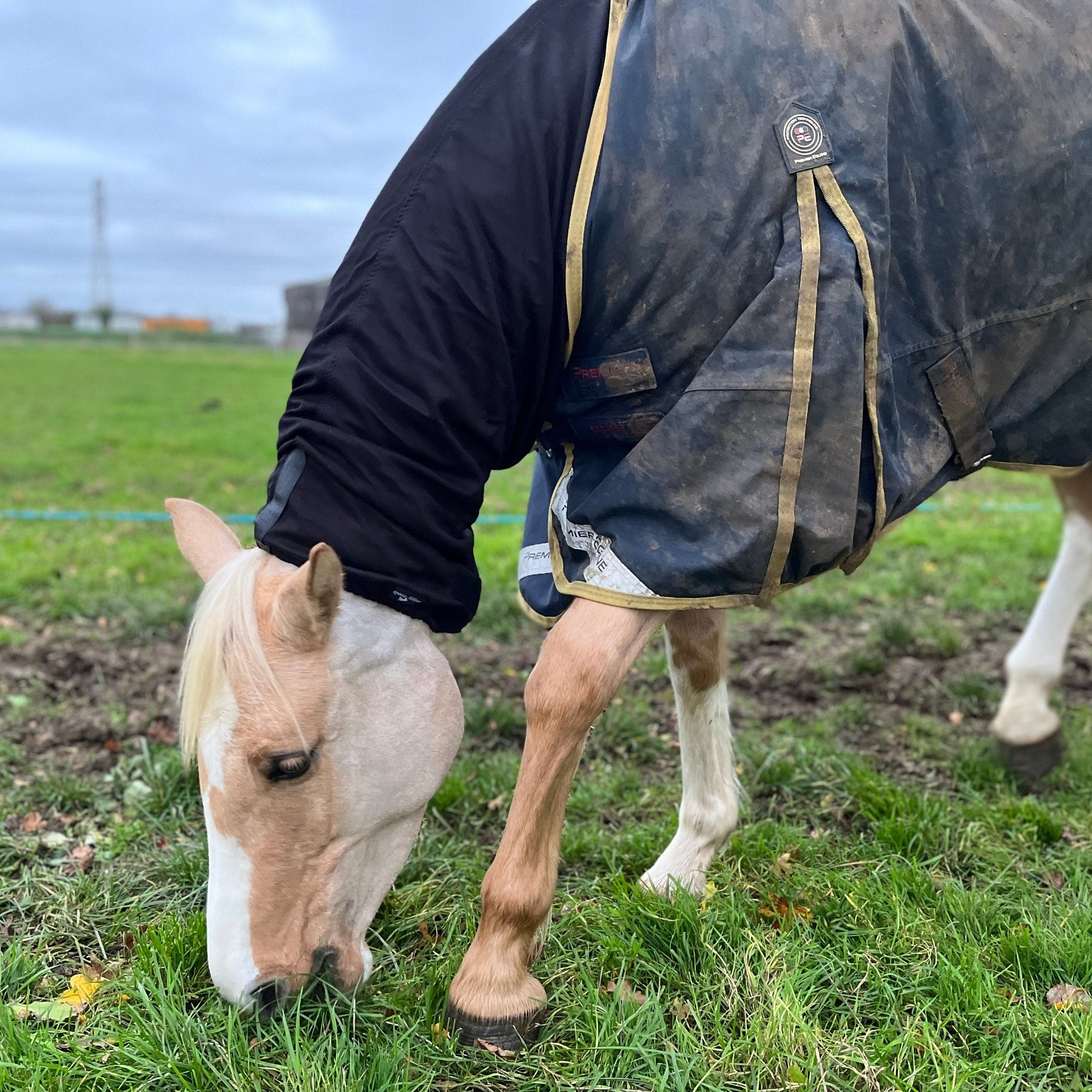 Headless Turn Out Horse Hood - Mane Saver - Snuggy Hoods – Snuggy Hoods Ltd