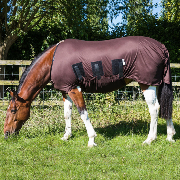 Sweet Itch Horse Rug - Snuggy Hoods – Snuggy Hoods Ltd