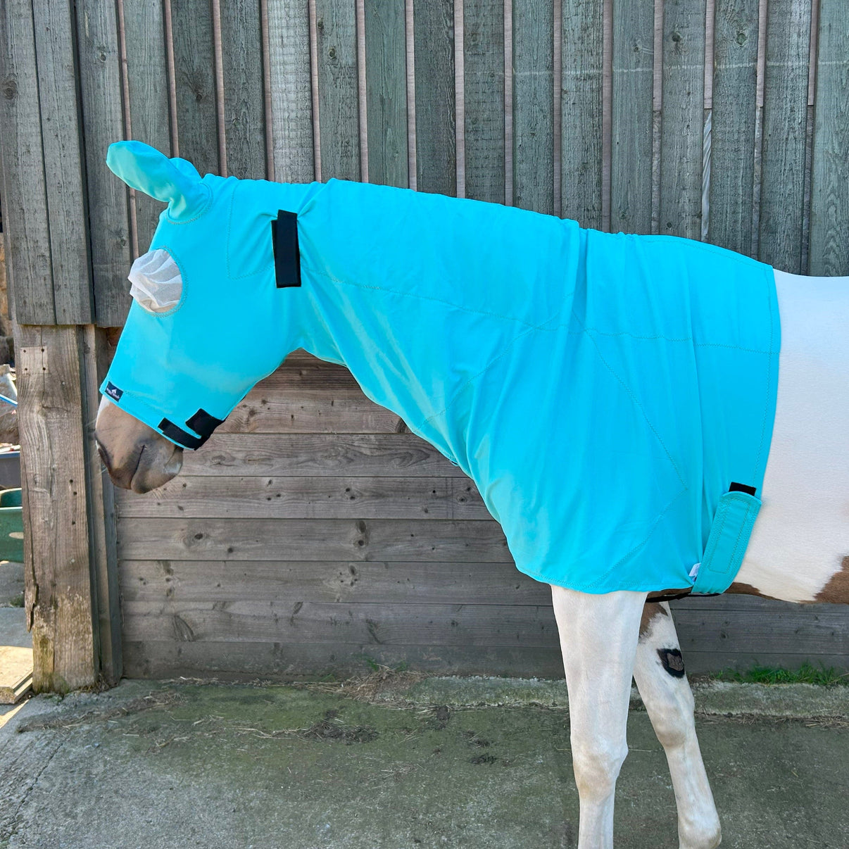 Sweet Itch Horse Hood - Protects from Midges & Insects - Snuggy Hoods ...