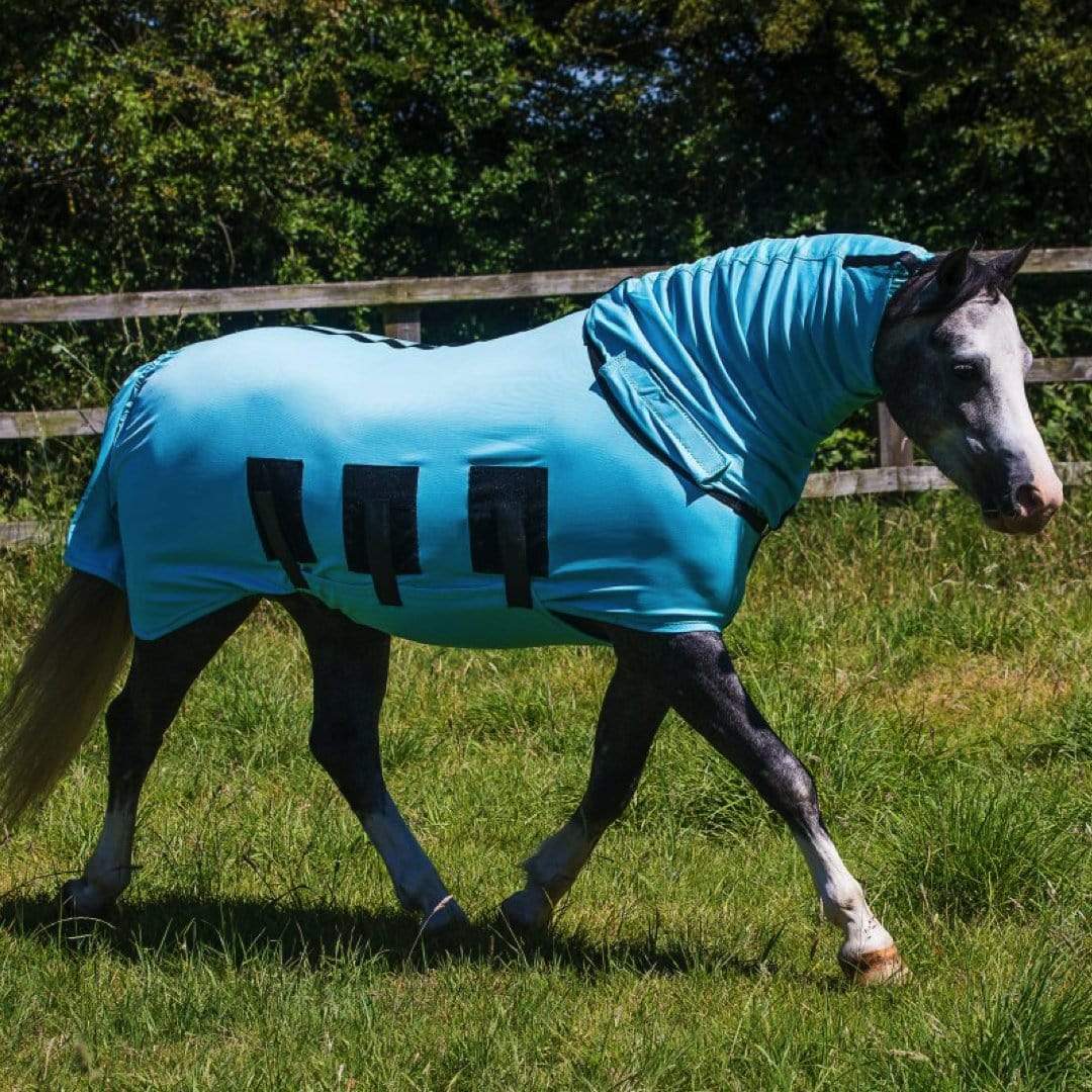 Bug Body Fly Rug - Snuggy Hoods – Snuggy Hoods Ltd