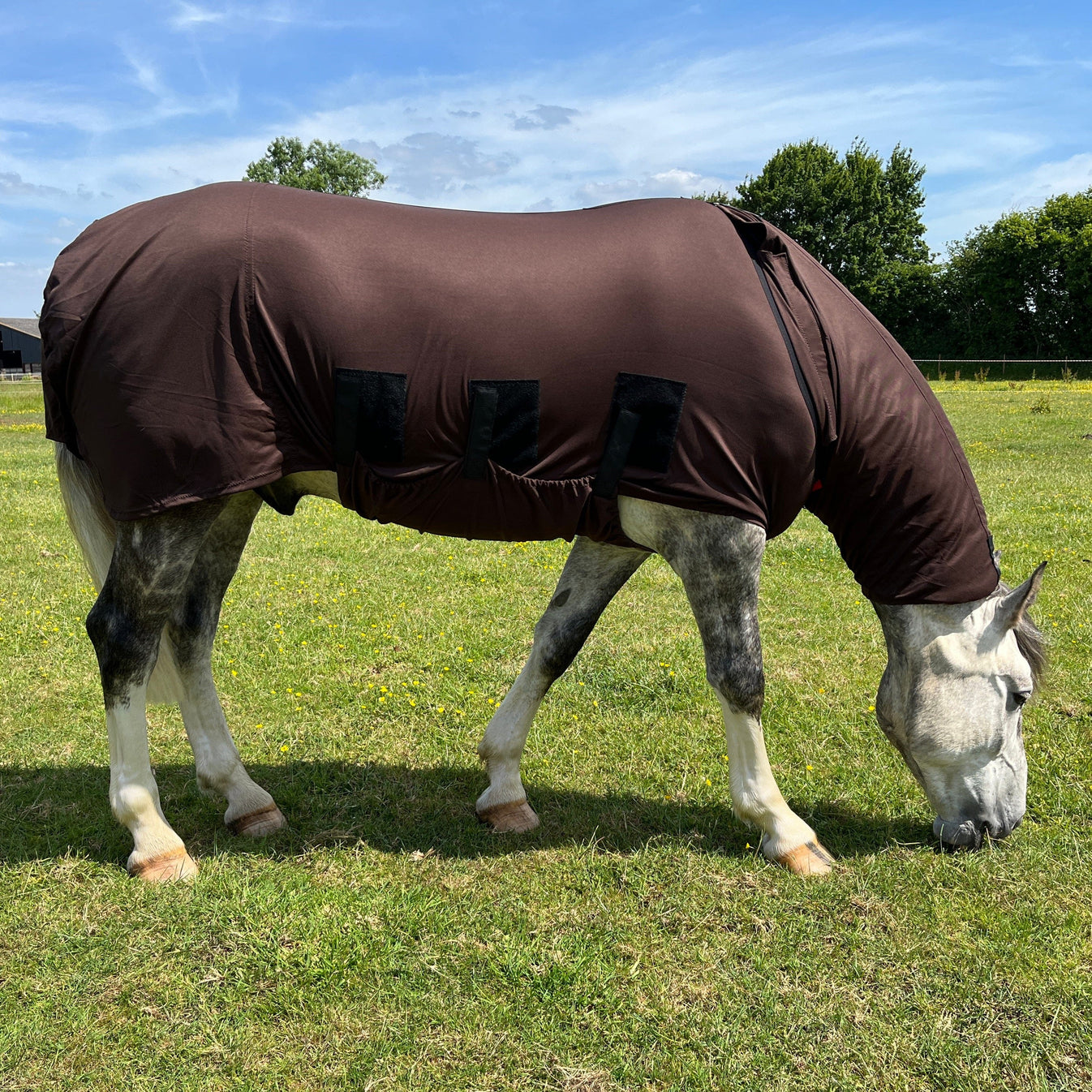 Bug Body Fly Rug - Snuggy Hoods – Snuggy Hoods Ltd