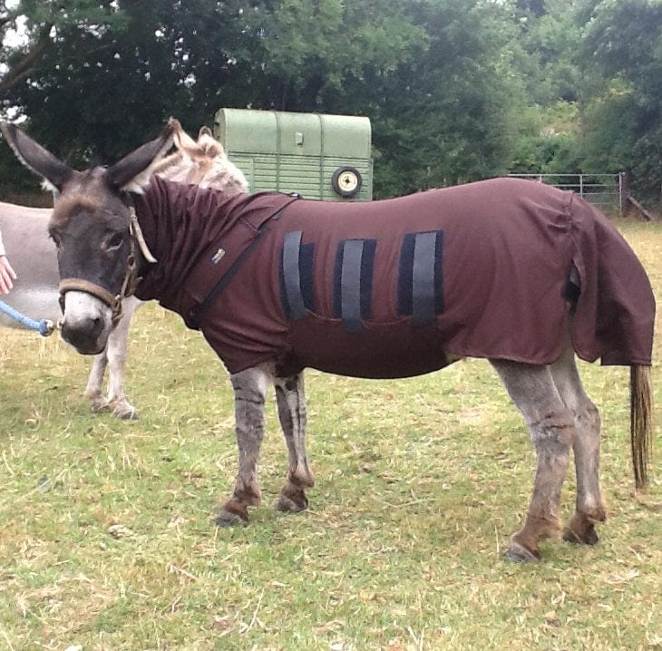Bug Body Fly Rug - Snuggy Hoods – Snuggy Hoods Ltd