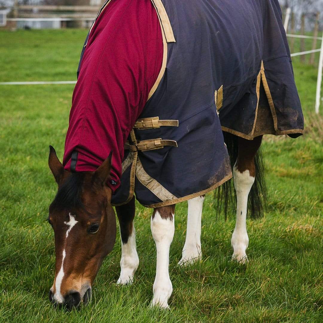 Headless Turn Out Horse Hood - Mane Saver - Snuggy Hoods – Snuggy Hoods Ltd