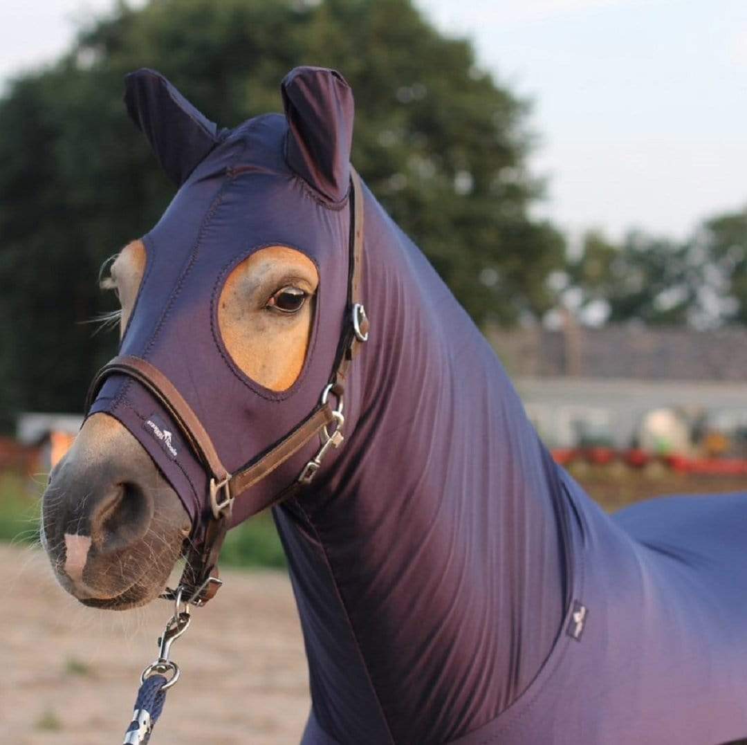 Lycra Horse & Pony Hood - Snuggy Hoods – Snuggy Hoods Ltd