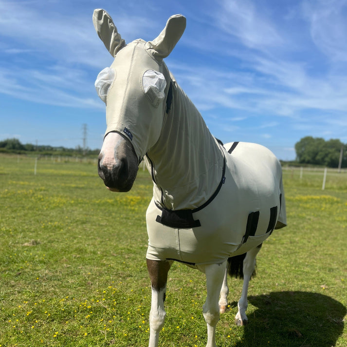 Sweet Itch Horse Hood - Protects from Midges & Insects - Snuggy Hoods ...