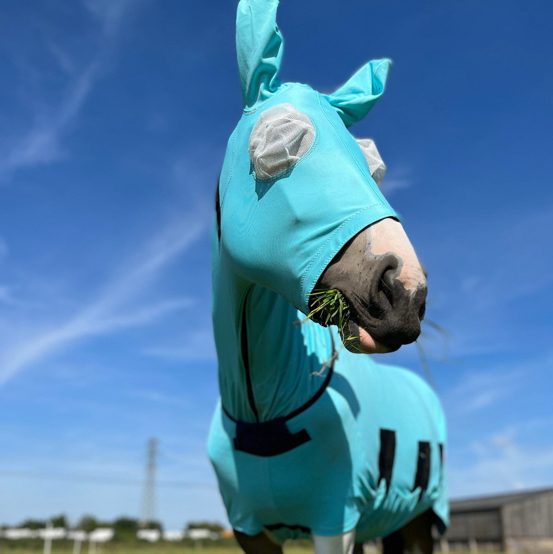 Sweet Itch Horse Hood - Protects from Midges & Insects - Snuggy Hoods ...