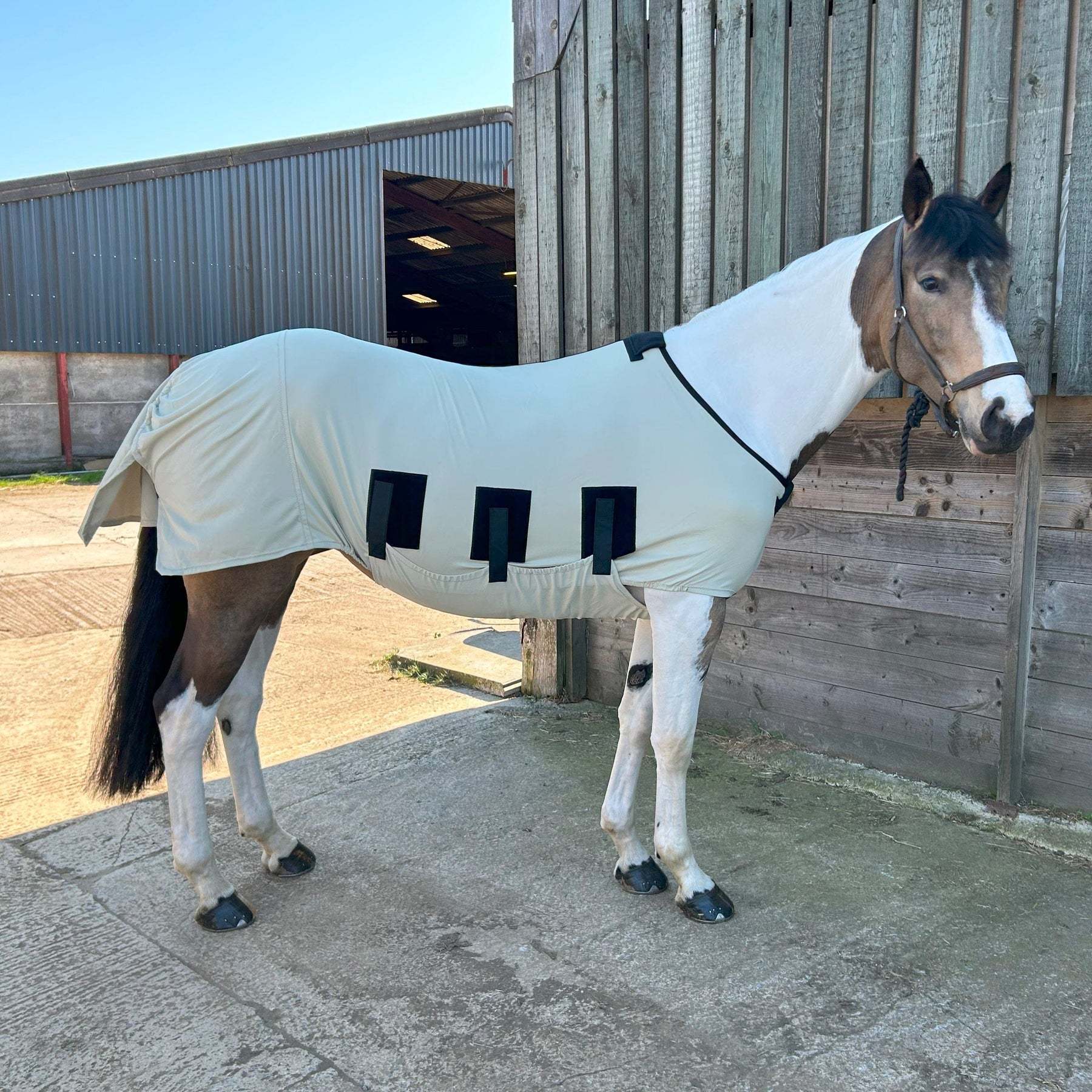 Made to Order Summer Stock – Tagged "fully breathable sweet itch rug ...