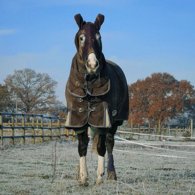 Turn Out Head / Weatherproof Mask for Horse & Pony - Snuggy Hoods ...